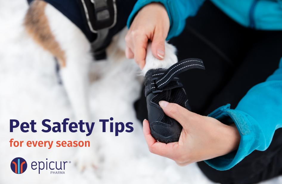 Seasonal Safety Reminders for Veterinary Practices - Epicur Pharma®