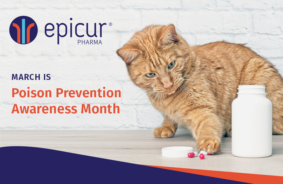Poison Prevention Month: How to Educate Clients on Preventing Pet ...