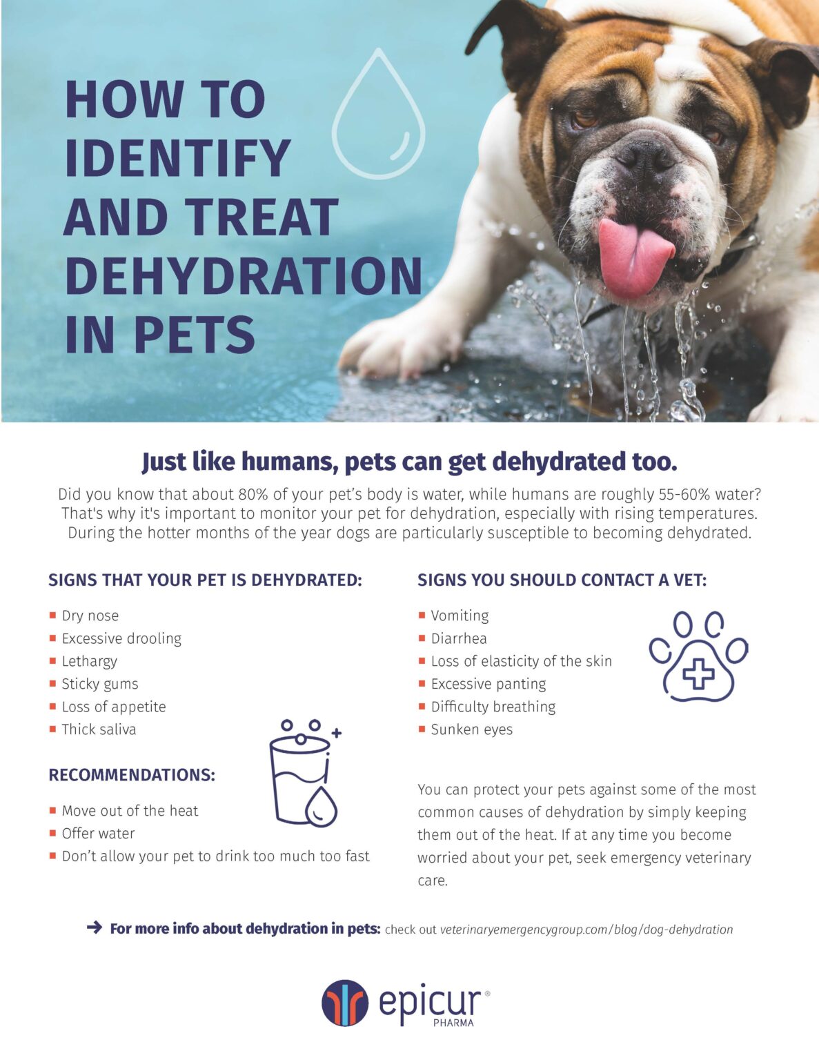 Pet Owners - Epicur Pharma®